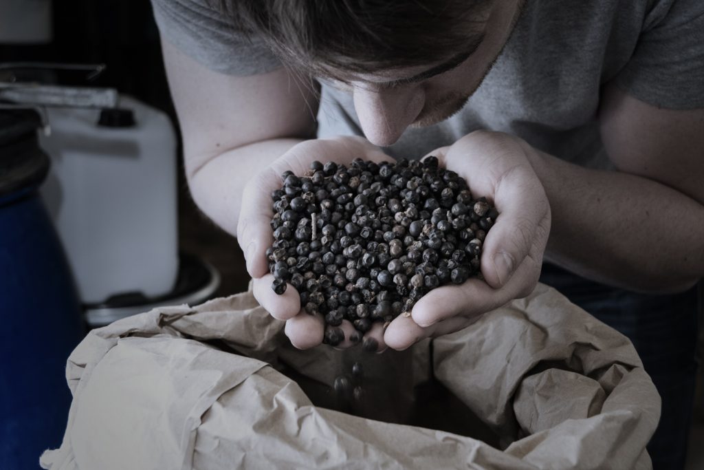 Dieser Schweizer Gin sorgt weltweit für Furore